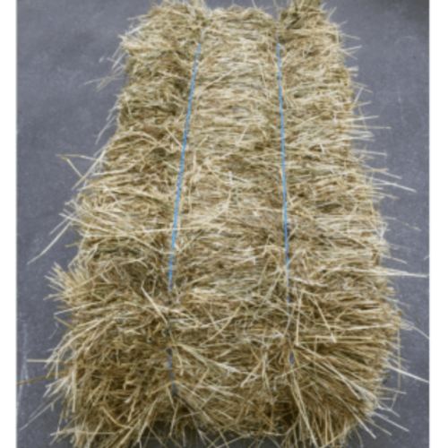Hay/Chaff/Fibre – Seeds and Cereals