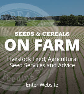 Welcome to Seeds & Cereals - Seeds & Cereals