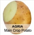 AGRIA - Seeds & Cereals (2000) Ltd