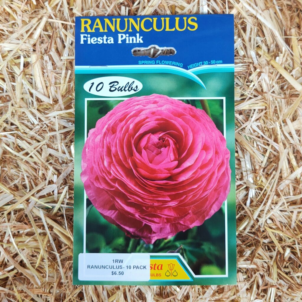 RANUNCULUS FLOWER BULBS – Seeds & Cereals (2000) Ltd