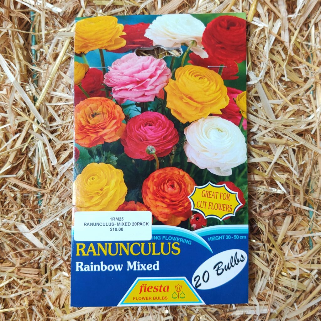 RANUNCULUS FLOWER BULBS – Seeds & Cereals (2000) Ltd