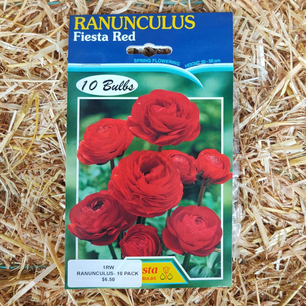 RANUNCULUS FLOWER BULBS – Seeds & Cereals (2000) Ltd