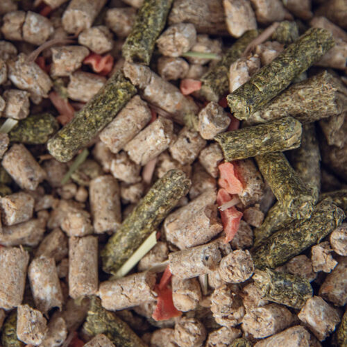 RABBIT & GUINEA PIG MIX – Seeds & Cereals (2000) Ltd