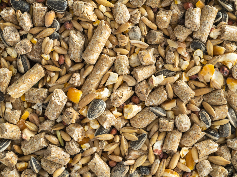 RABBIT & GUINEA PIG - Seeds & Cereals