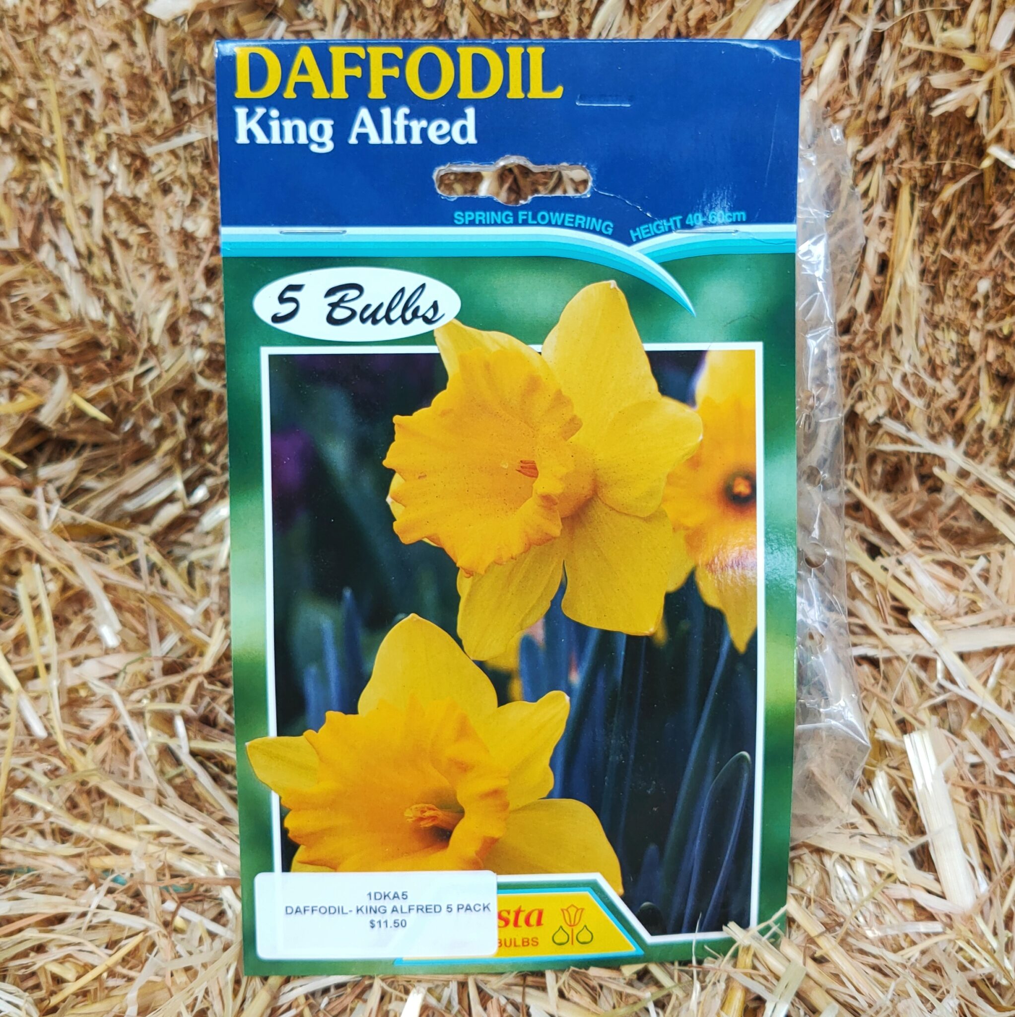 DAFFODIL FLOWER BULBS – Seeds & Cereals (2000) Ltd